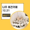 애견카페 1221 포토존과 실외공간이 매력적이에요 네이버 블로그